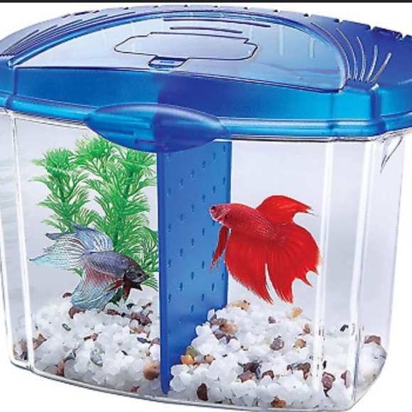 aqueon | Other | Aquaeon Mini Bow For Beta Fish Desktop Aqurium Kit ...